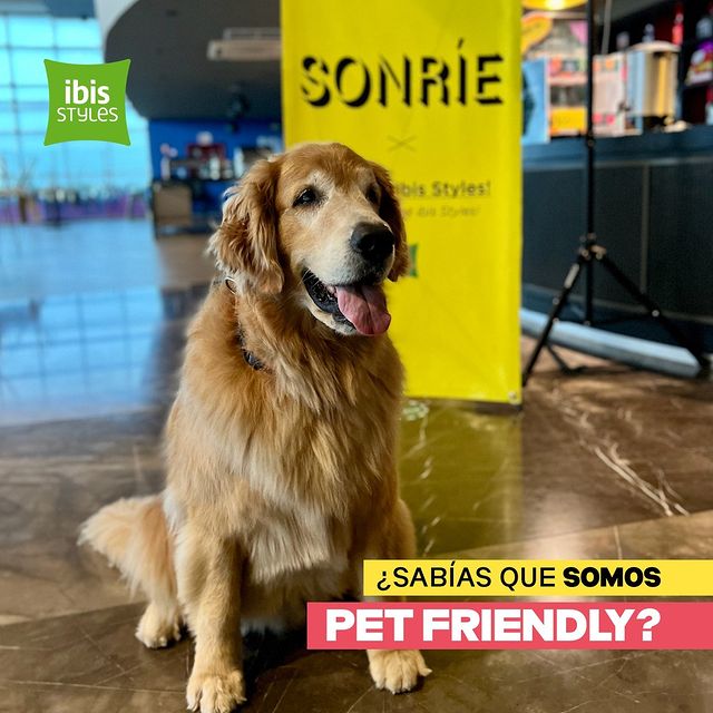 Top Restaurantes Pet Friendly en Mérida Para ir con tu Perro 😍